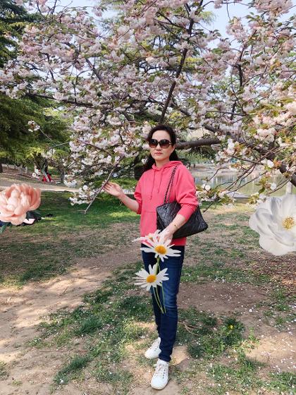 红叶故事 | Coco(zhou)