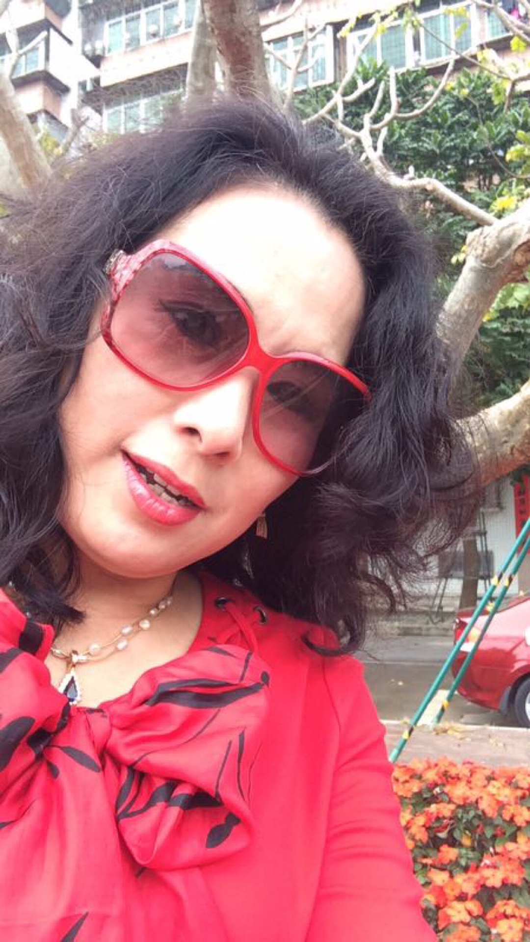 红叶故事 | Zying