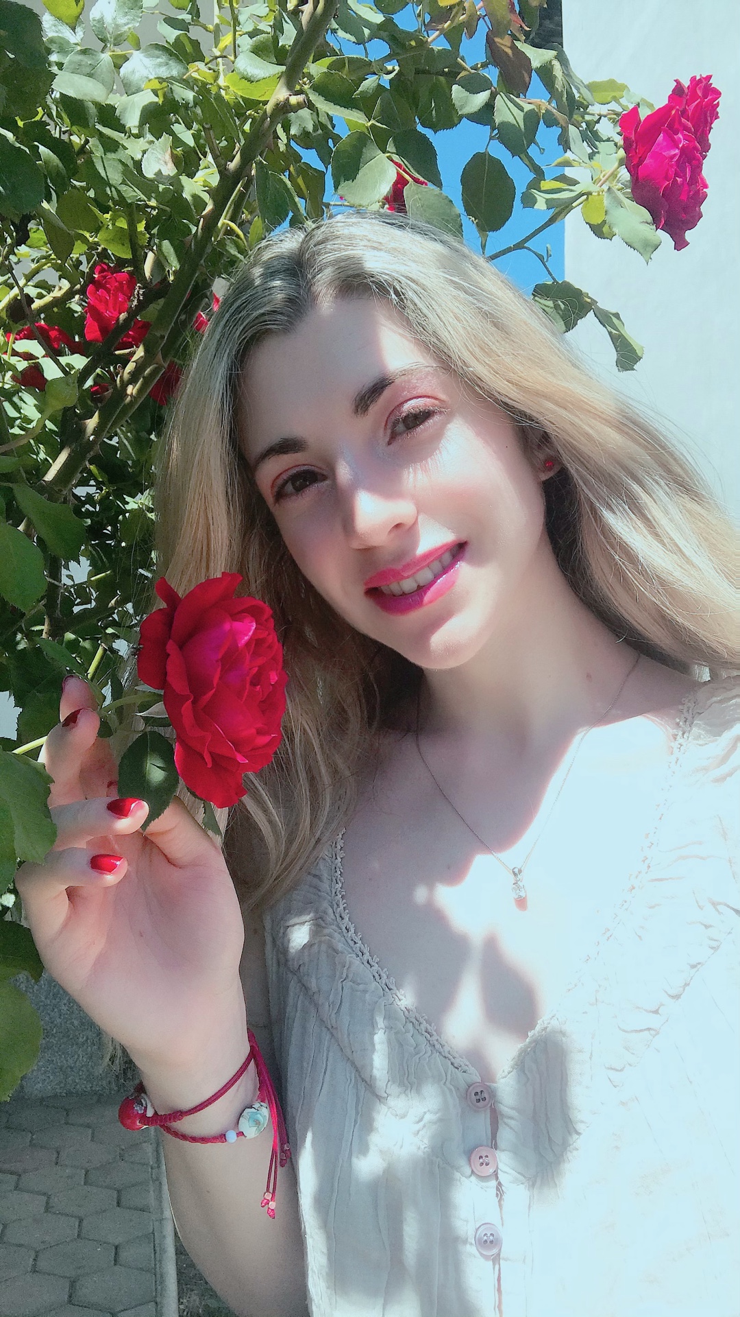 红叶故事 | MeganL