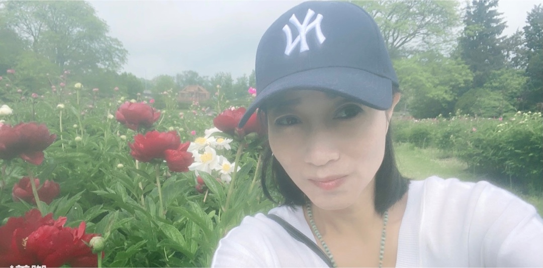 红叶故事 | Lily-w