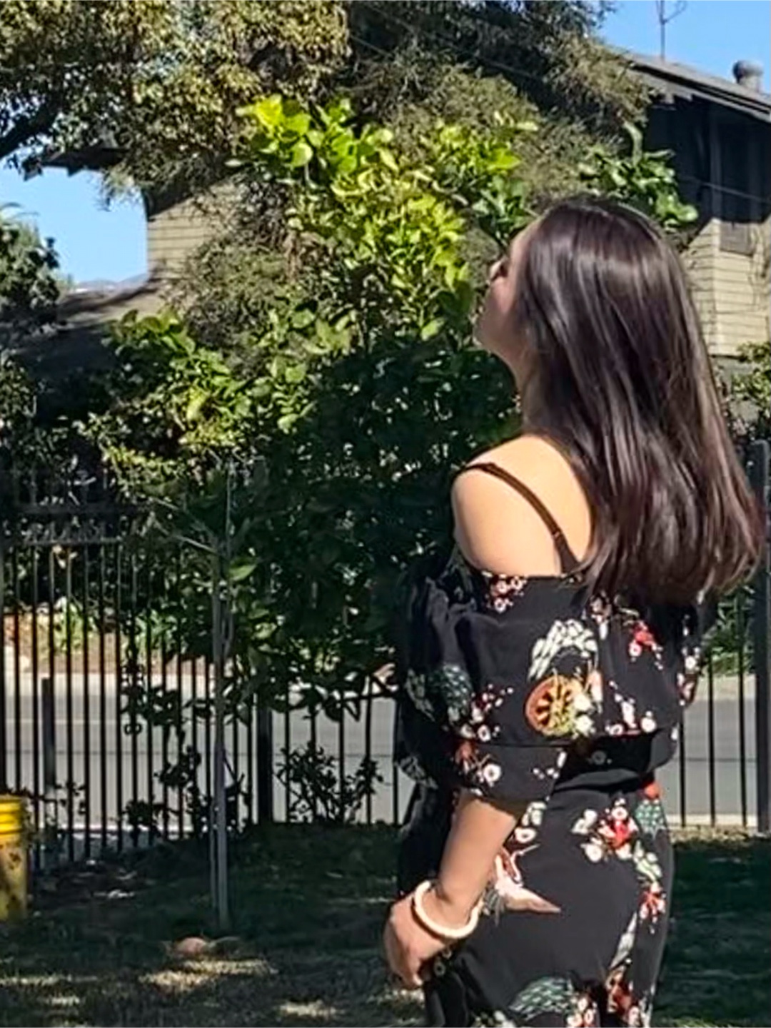 红叶故事 | Sasha Li