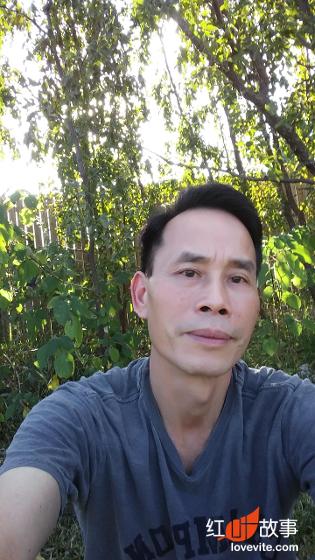 红叶故事 | Mario q wu