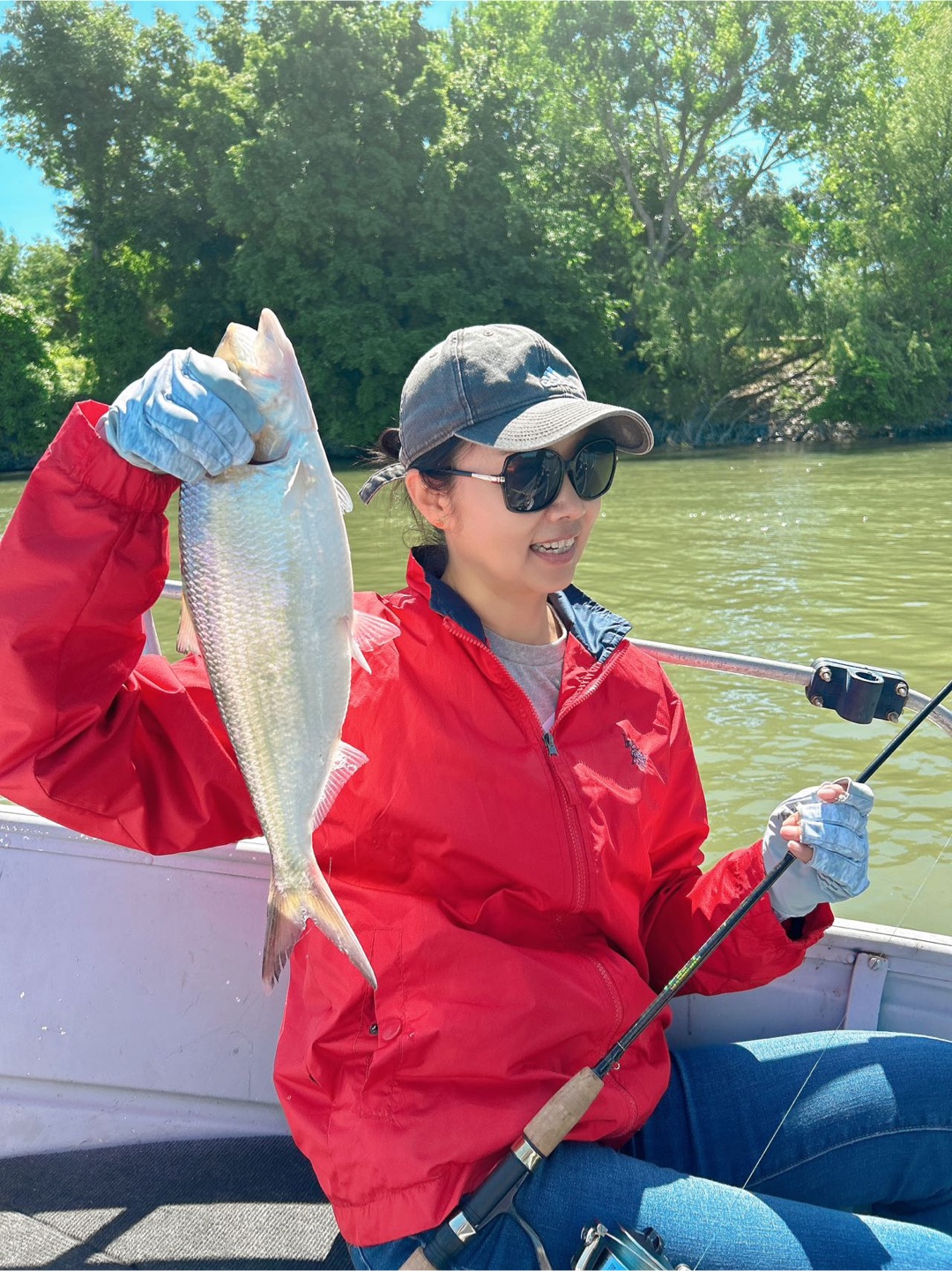 红叶故事 | Helen.y.hua