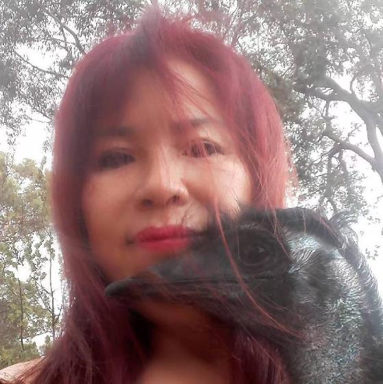 红叶故事 | chao yen ming