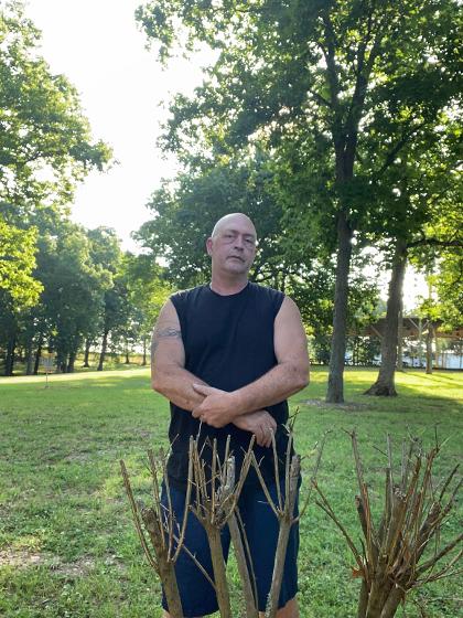 红叶故事 | Dareto