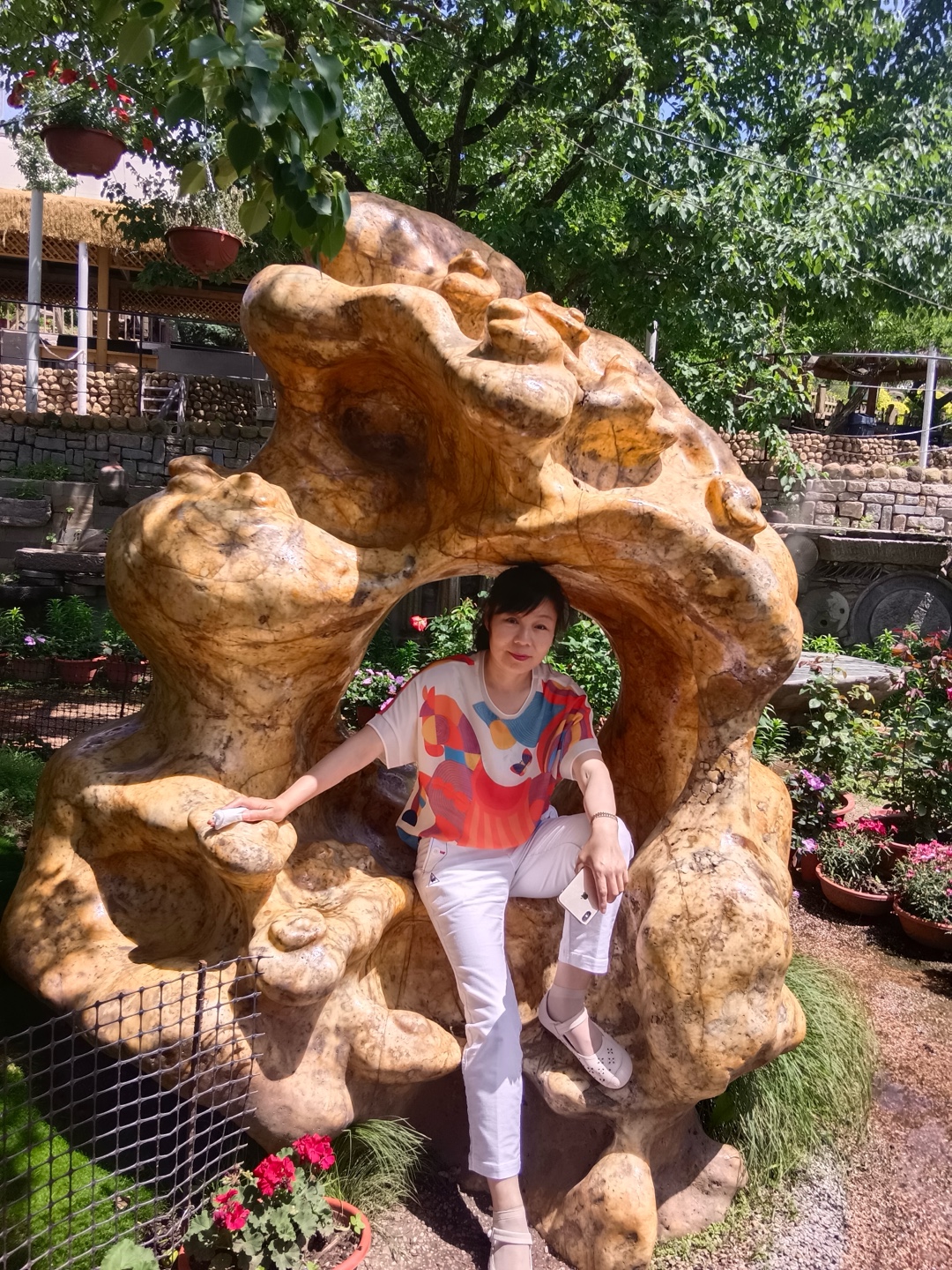 红叶故事 | zhao fen rong