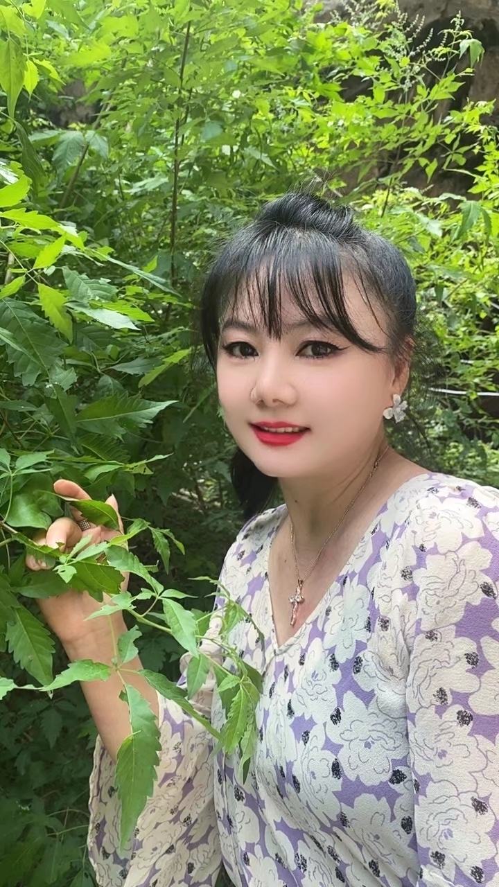 红叶故事 | yang xiao liu