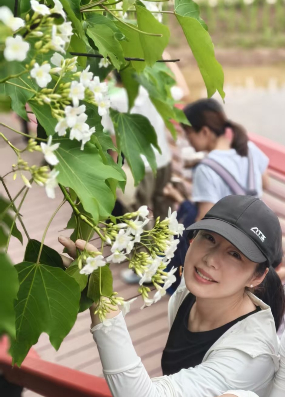 红叶故事 | Sabrina_Chen